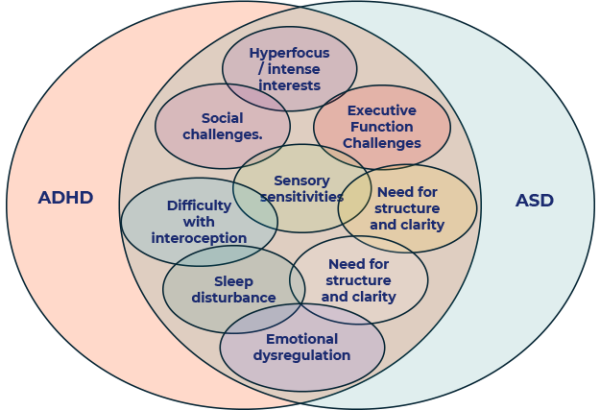 The Overlap Between ADHD and Autism (AuDHD) | Psych-UK Limited